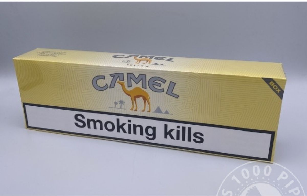 Cigarette Camel : Guide Complet - Cendriers Poche